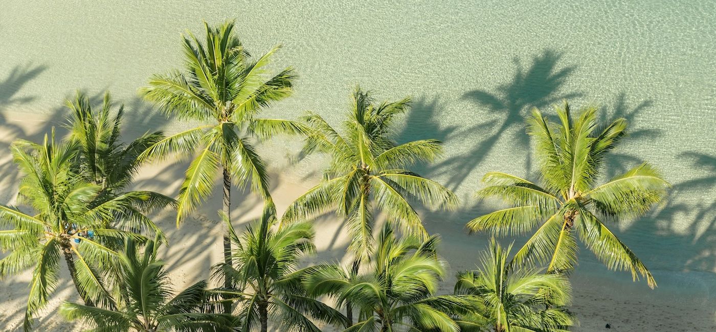 More Value, More Aloha: Up to $200 Instant Booking Credit | TravelPulse