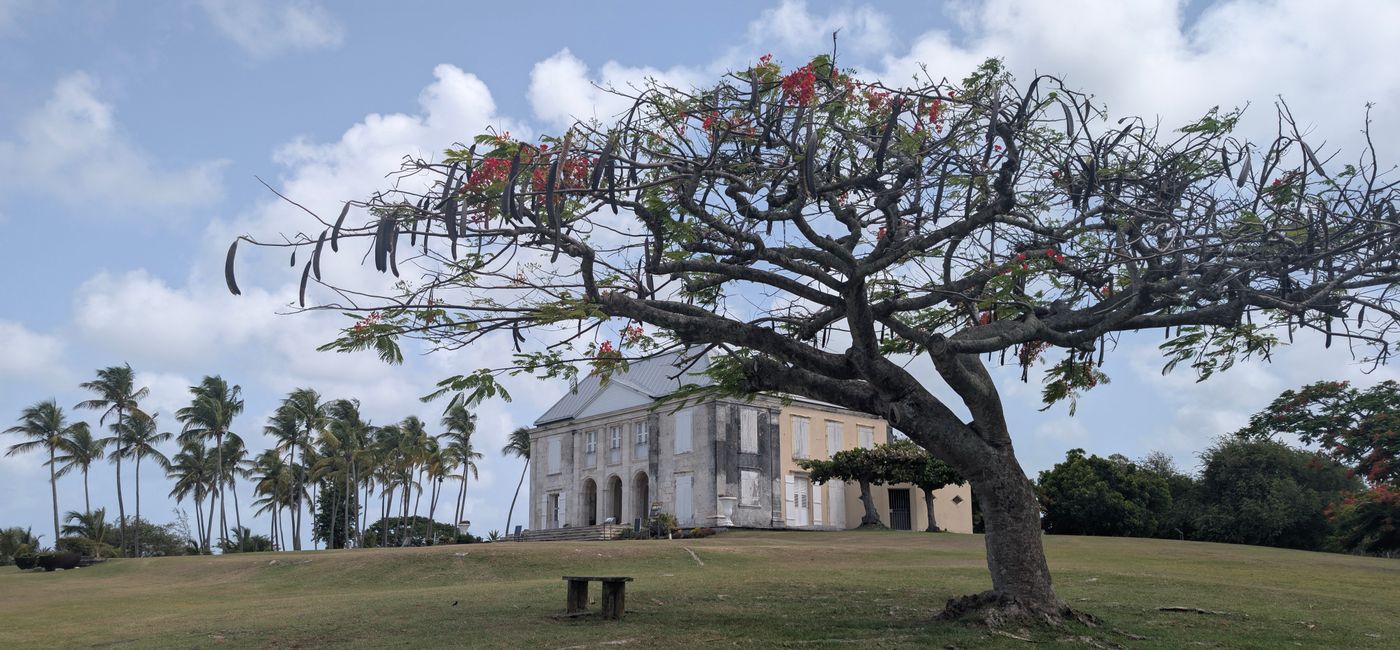 Les meilleures destinations, événements et attractions des Caraïbes en ...