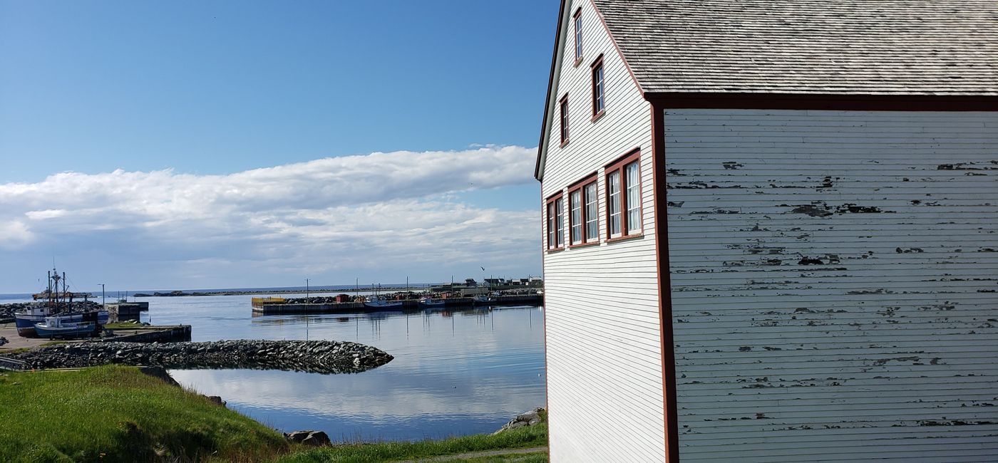 Exploring Newfoundland’s Legendary East Coast | TravelPulse Canada
