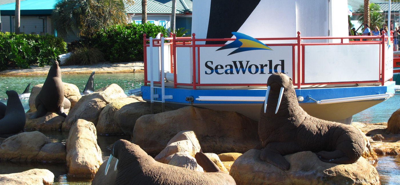 SeaWorld Parks Celebrates Military With One-Day Free Park Admission ...