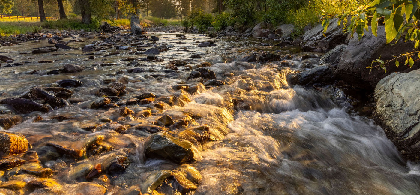 11 All-Inclusive Resorts You Can Visit Without a Passport | TravelPulse