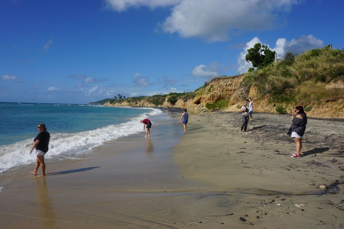 Discover Puerto Rico Site Spotlights Green Travel Options | TravelPulse