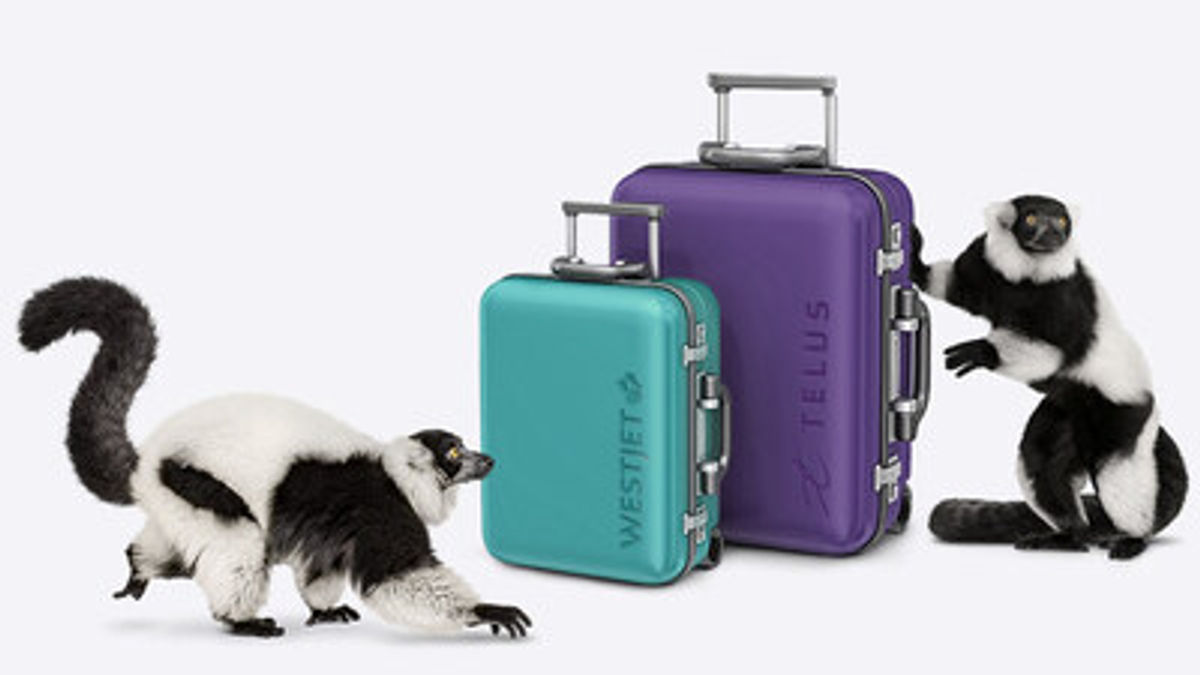 WestJet et TELUS s'associent pour offrir le Wi-Fi gratuit à bord ...