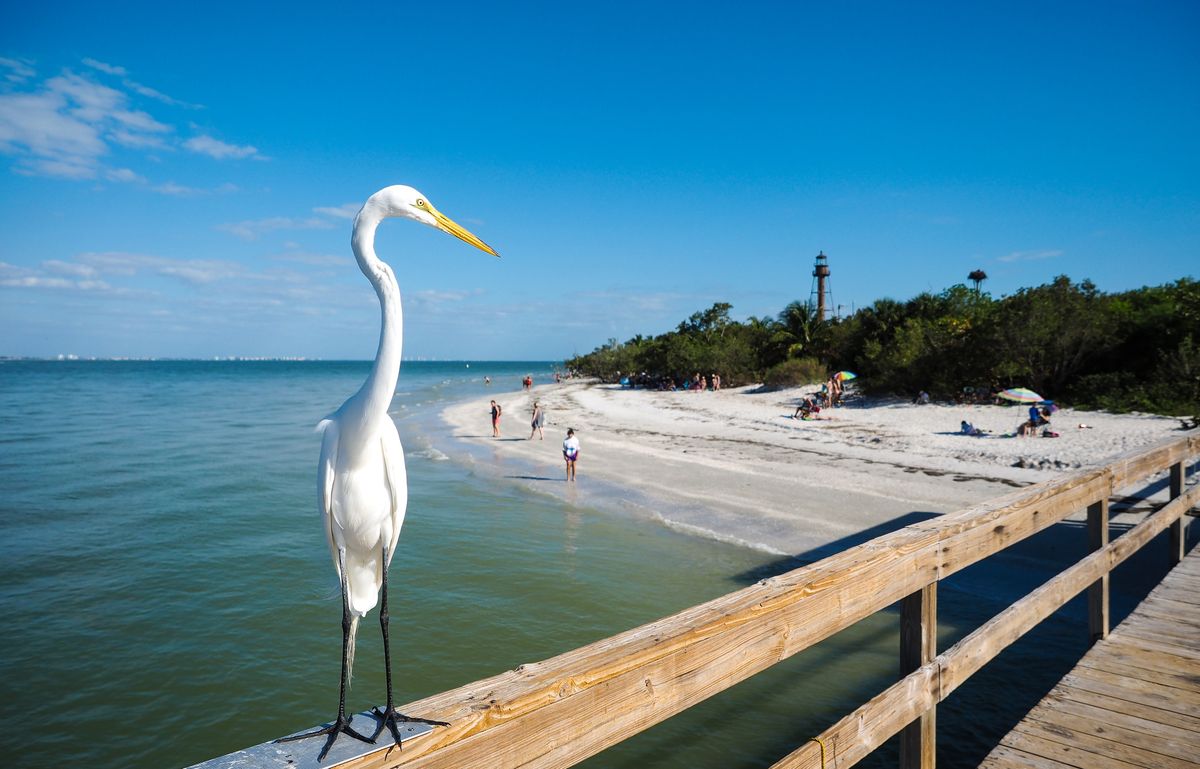 The Best Spring Break Destination in Every State | TravelPulse