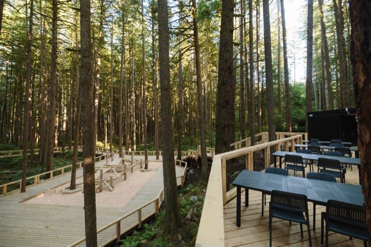 Canada’s Coolest Tree Fort? Squamish Canyon Opens in B.C.’s Coastal ...