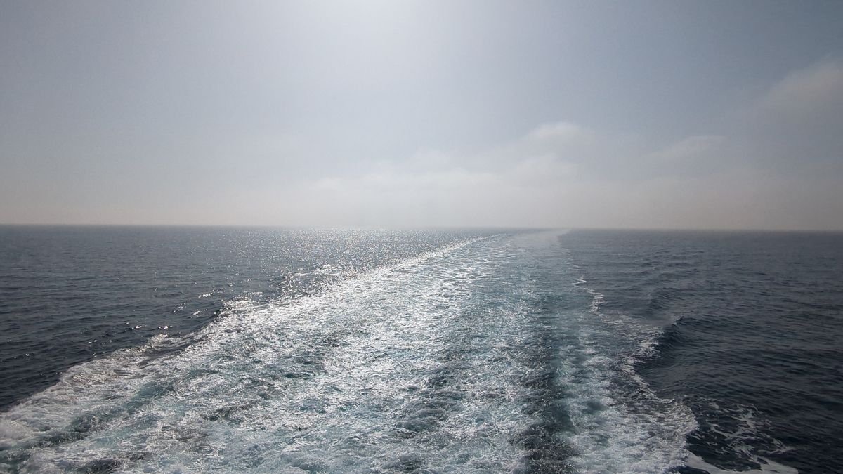 TravelPulse Podcast: 2026 Wave Season Trends | TravelPulse