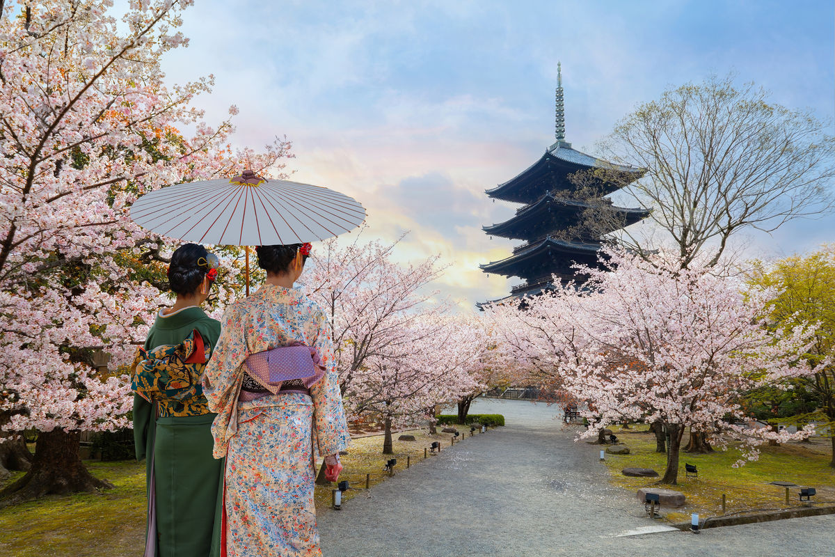 Fly Domestically in Japan for Free with ANA Stopover Program ...
