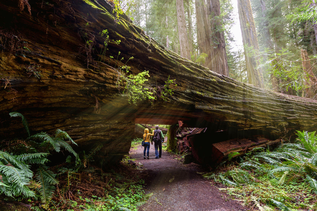 Celebrate National Park Week With Free Entry on This Day | TravelPulse