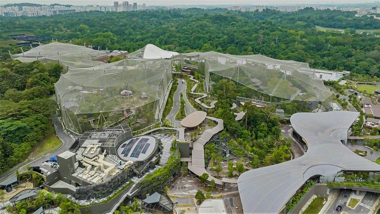 Birds of a feather flock together at Singapore's newest attraction ...