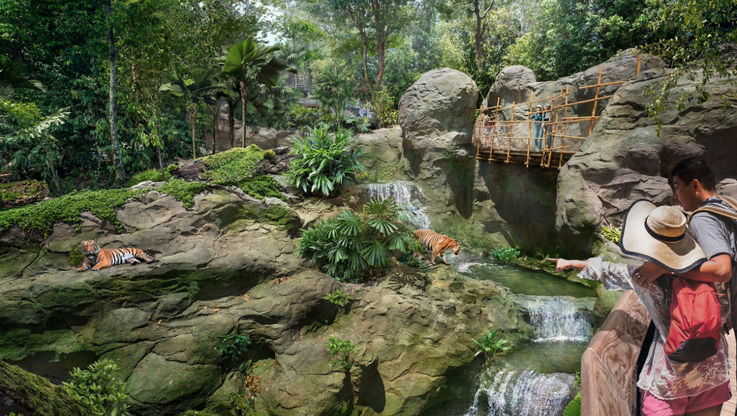 Get ready to go wild in Singapore’s new rainforest park: Travel Weekly Asia