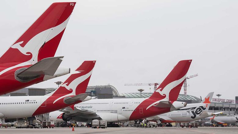 qantas kangaroo