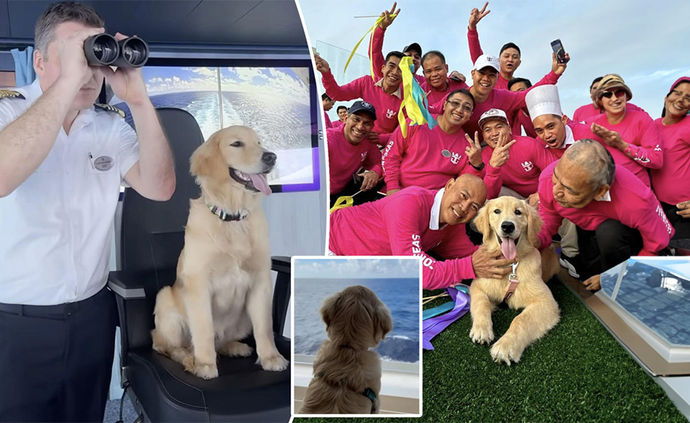 Woof! Meet Royal Caribbean’s new Chief Dog Officer: Travel Weekly Asia