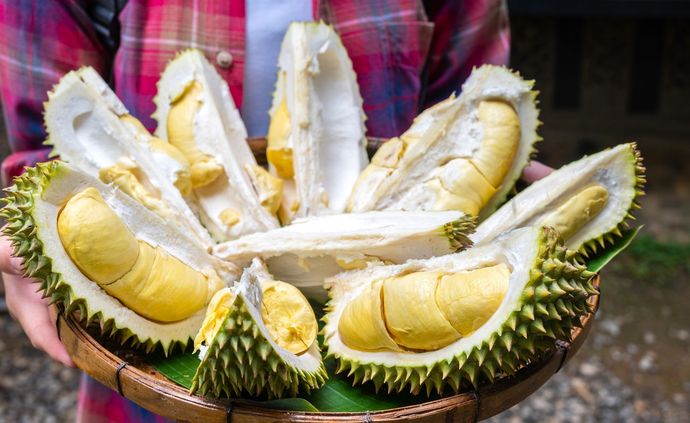 Durian tourism is a big thing in Malaysia: Travel Weekly Asia