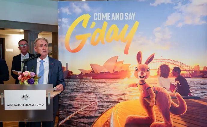 Forget the celebrities, Australia’s new tourism star is a cuddly roo ...