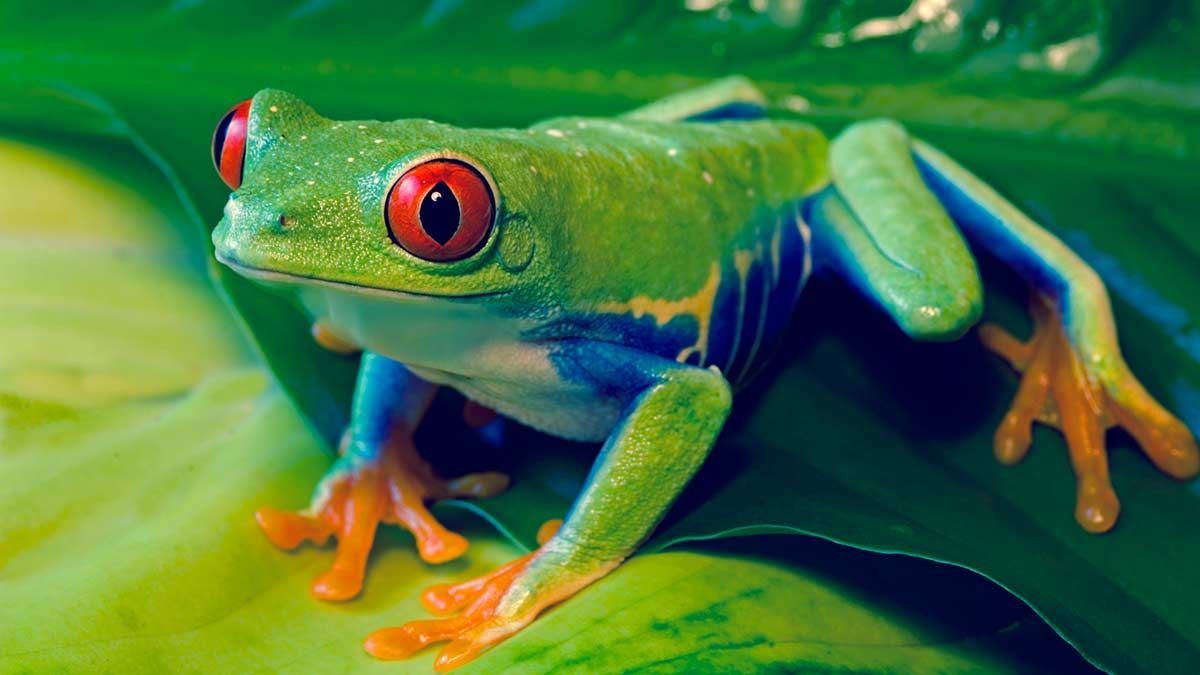 Dubai goes deep, deep into the forest: Travel Weekly Asia