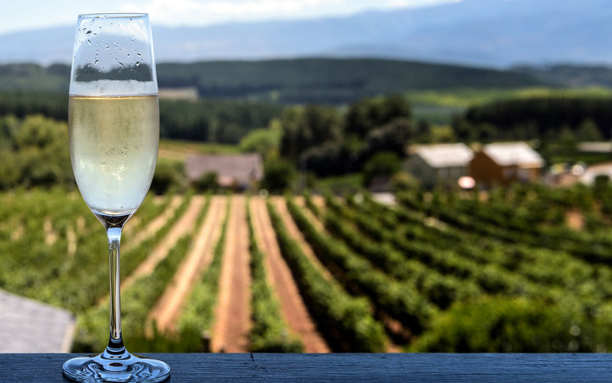 Cheers to cava: Travel Weekly Asia