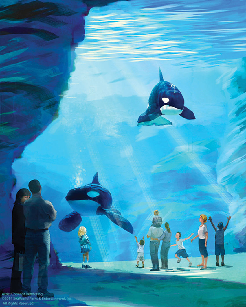 Travelers place greater importance on animal wellbeing: Travel Weekly