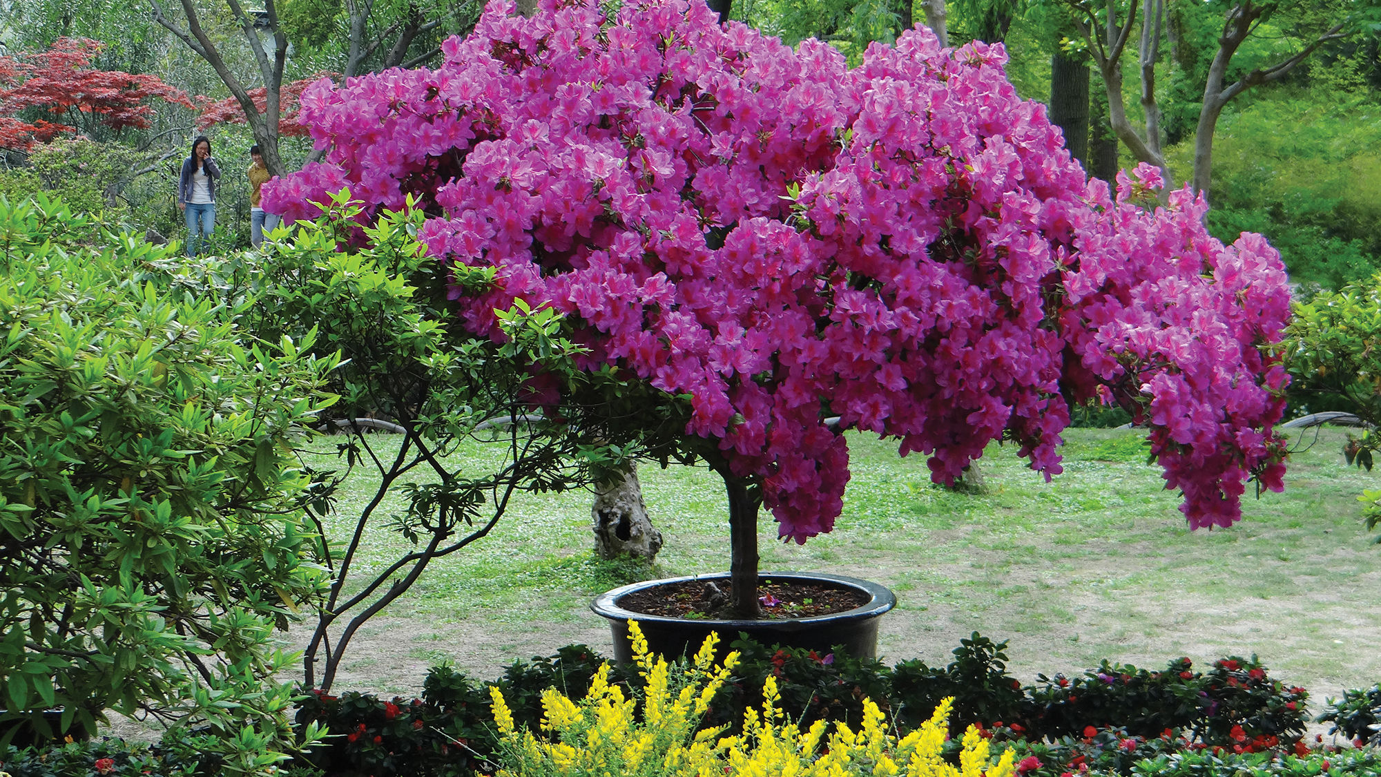 Colorful gardens, canals of Suzhou: Travel Weekly