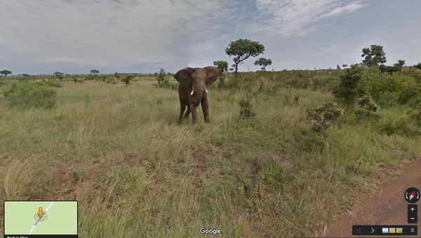 Discover South Africa, virtually: Travel Weekly