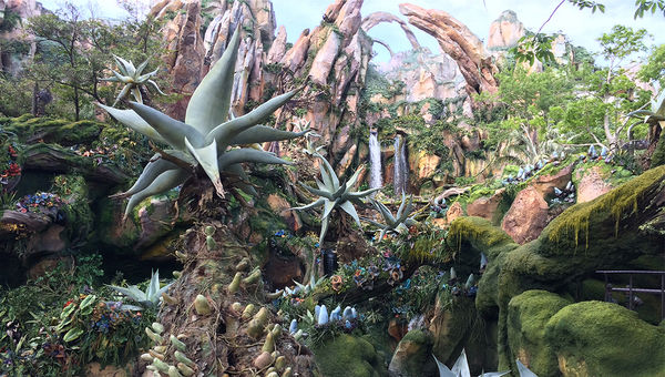 Disney's Pandora -- The World of Avatar is a full-on sensory experience ...