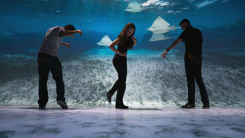 Nat Geo unveils digital ocean experience in Times Square: Travel Weekly