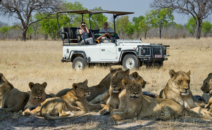 Extraordinary Journeys launches hands-on safari experiences in Southern ...