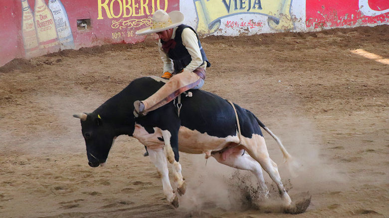 Scenes from Guadalajara: Travel Weekly