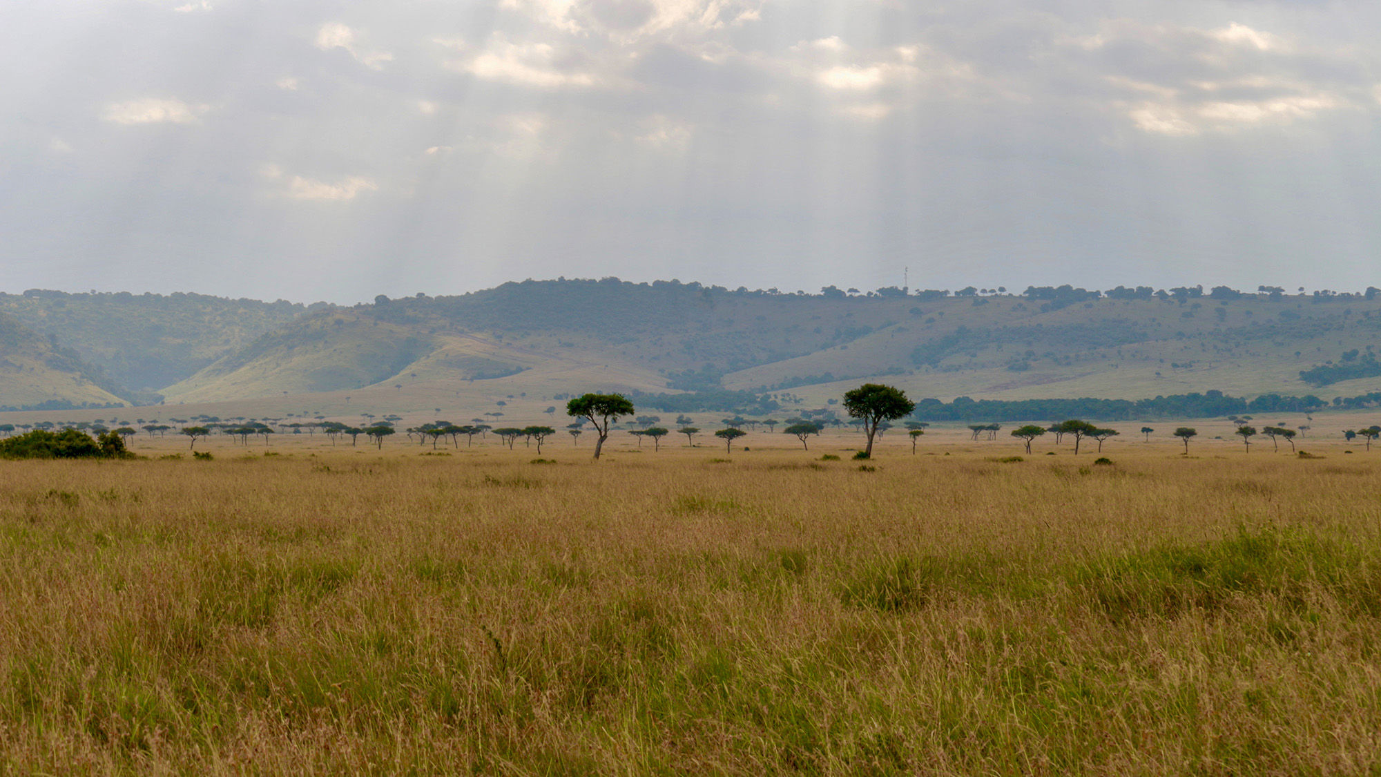 The marvels of the Masai Mara: Travel Weekly