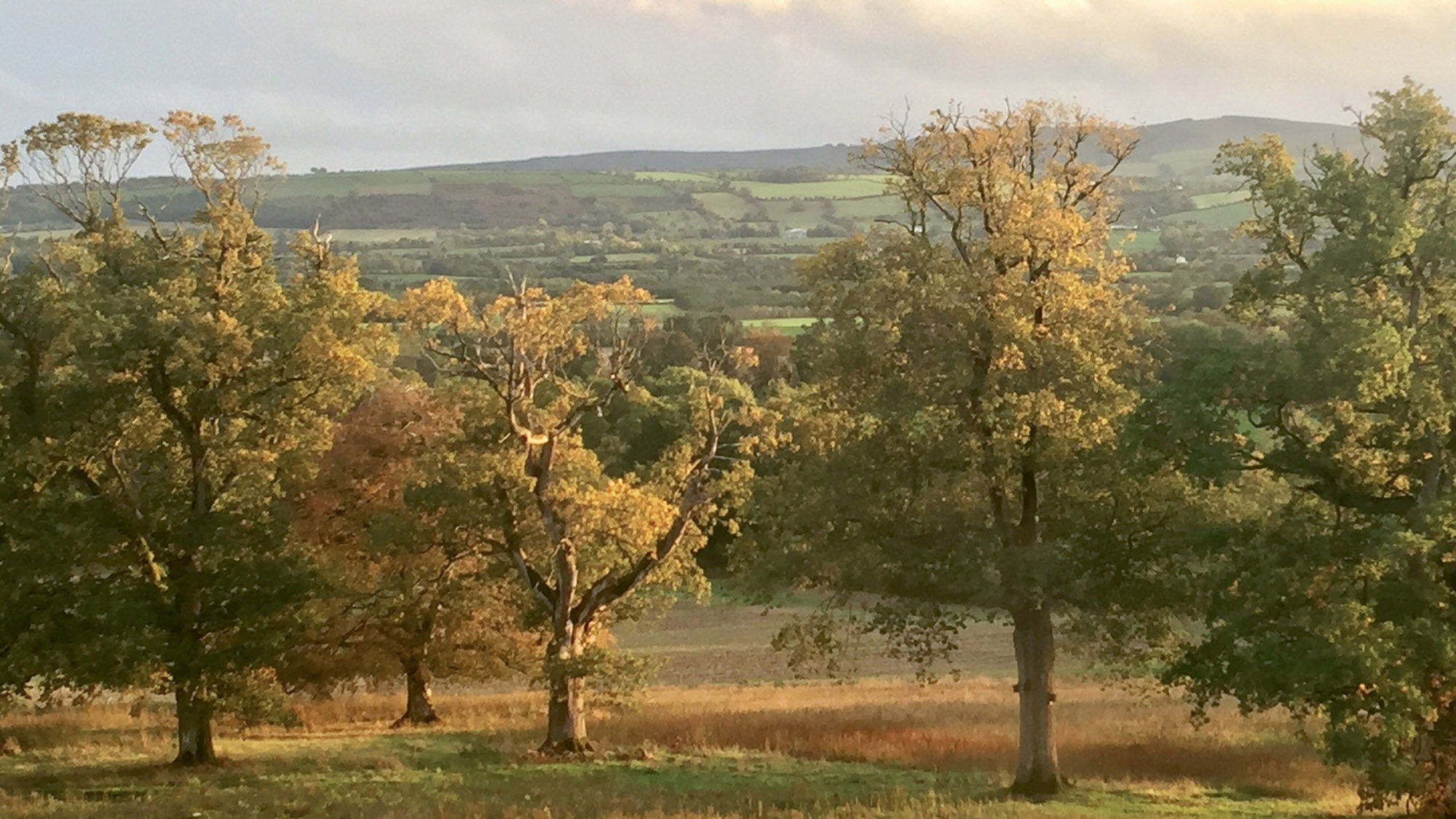 Authentic Irish experience at Ireland's Blue Book hotels: Travel Weekly