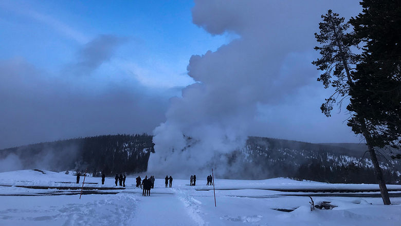 Tauck's 'culturious' adventure in Yellowstone offers up exceptional ...