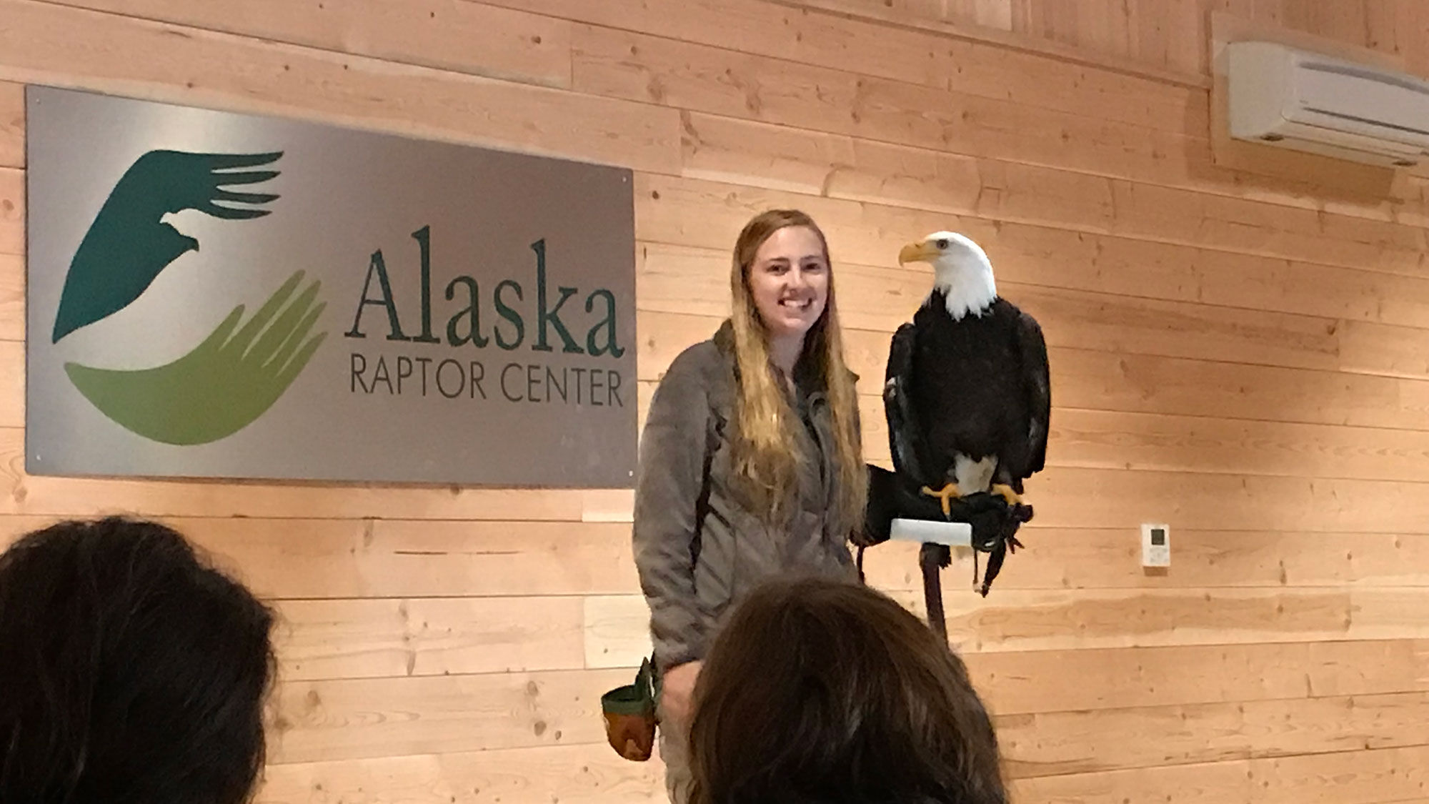 New options for experiencing Alaska's rainforests and raptors: Travel ...