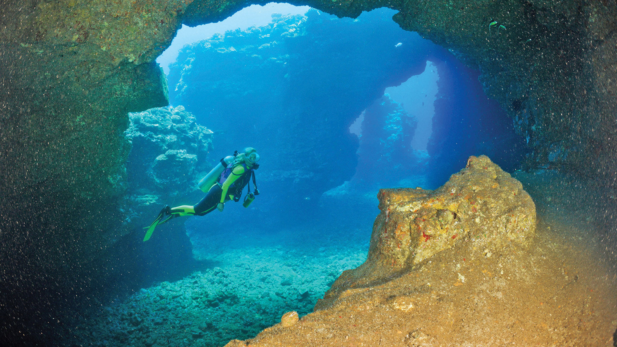 Diver's delight with Four Seasons Resort Lanai: Travel Weekly