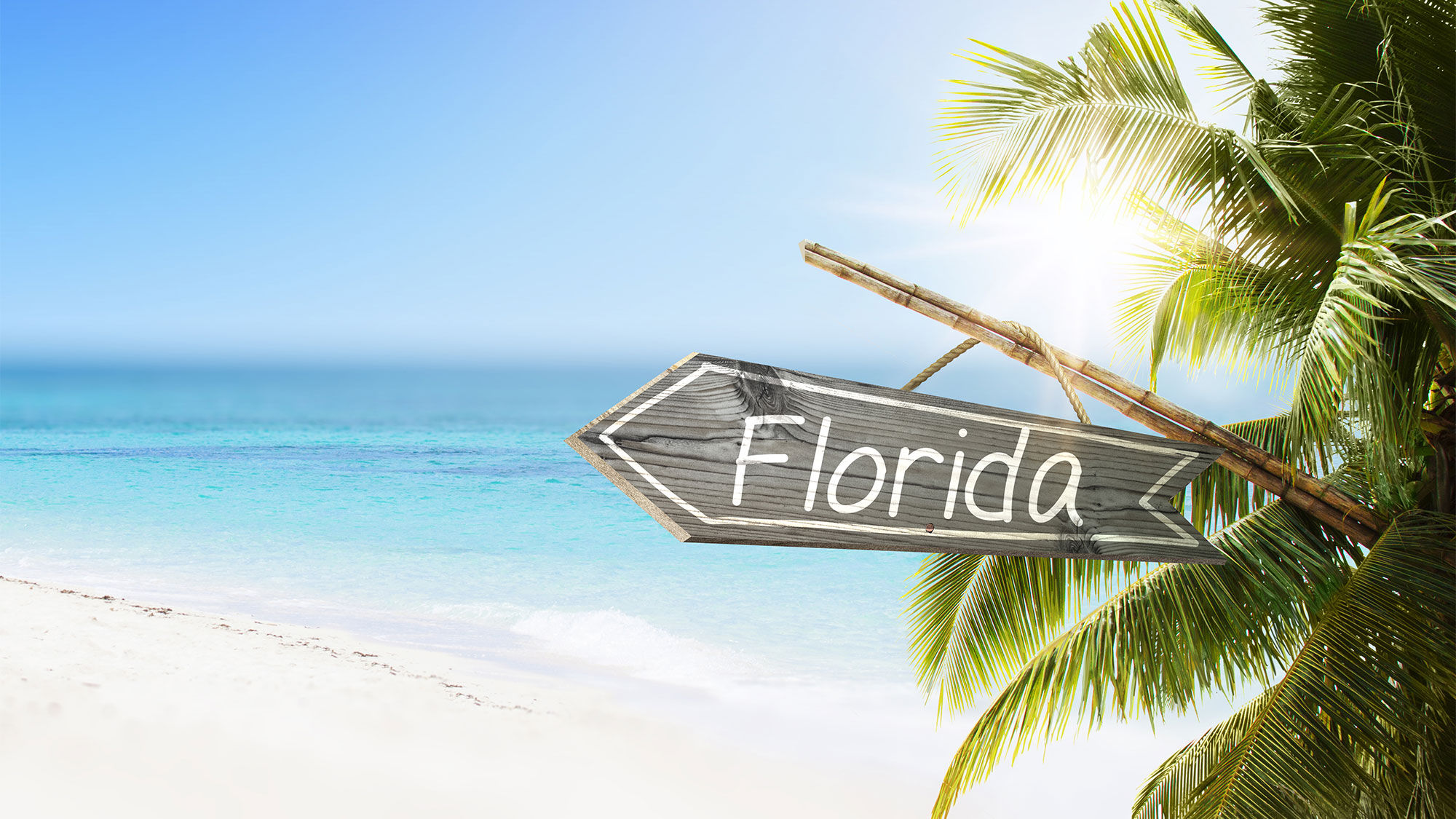 Student survivors call for boycott of Florida spring break destinations ...
