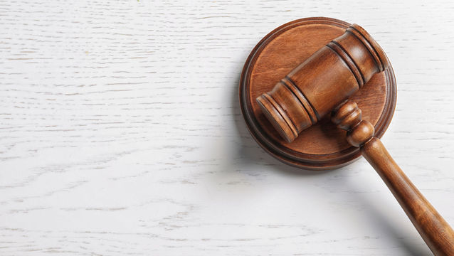 President Trump sued over the removal of 'X' gender option for ...