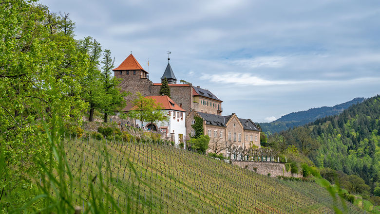 Germany's Black Forest National Park is a culinary hot spot: Travel Weekly