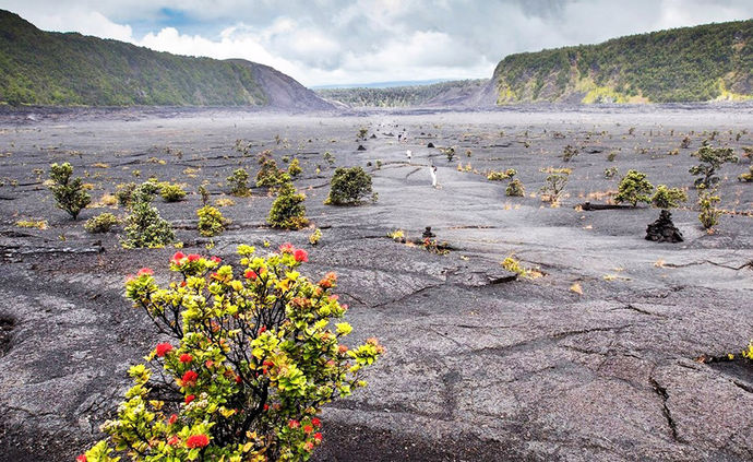 No lava, no problem at Hawaii Volcanoes National Park: Travel Weekly