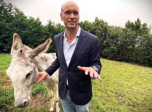 Does the pop art movement hold the key to counter overtourism?: Travel ...