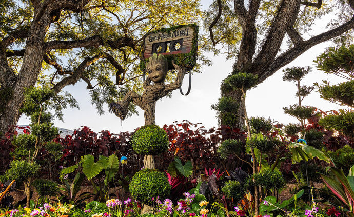 Epcot garden festival will feature a Groot topiary: Travel Weekly