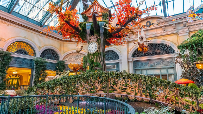 bellagio conservatory