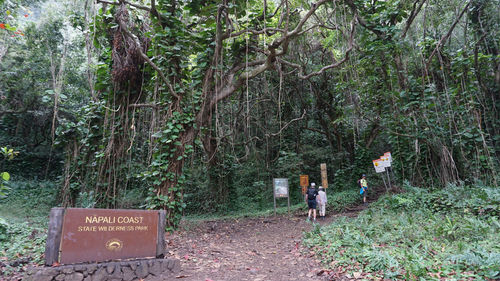 This shuttle can enhance a Haena State Park visit: Travel Weekly