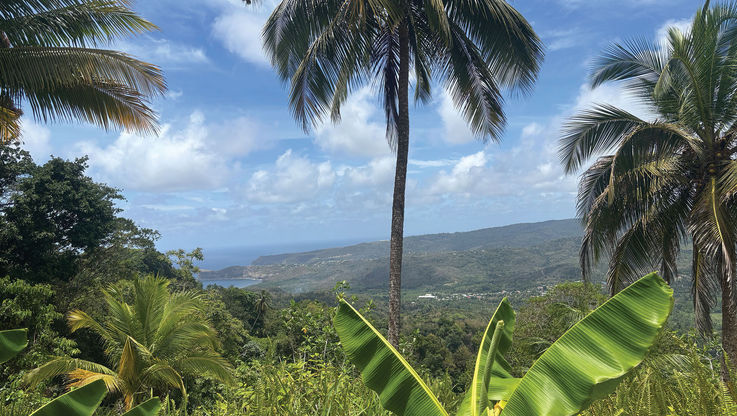 Community tourism elevates St. Lucia locals, experiences - Saint Lucia ...