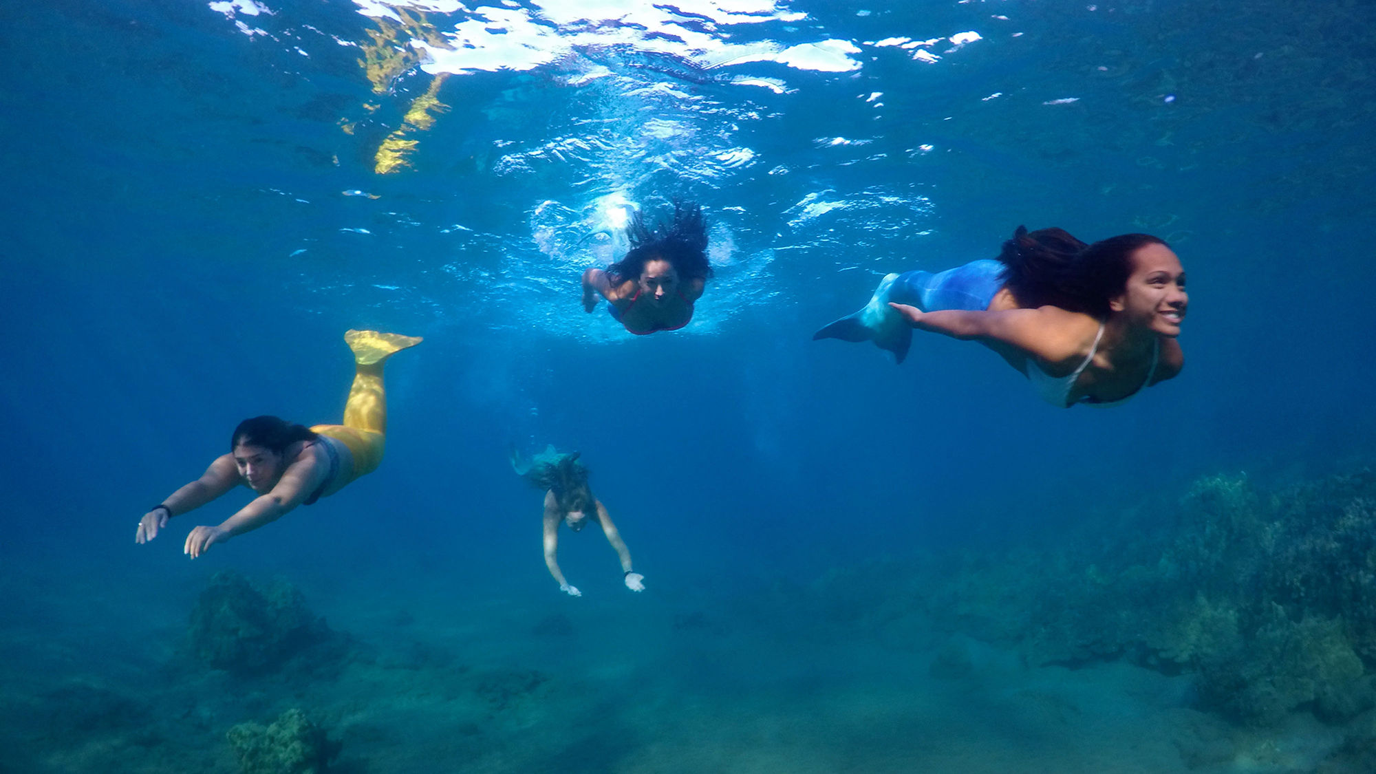 Maui welcomes new mermaid adventure: Travel Weekly