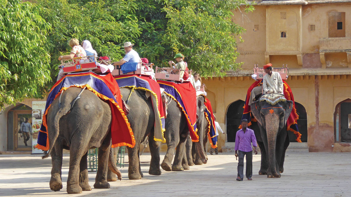 Sensitivity to animal exploitation is up. So is demand for wildlife ...