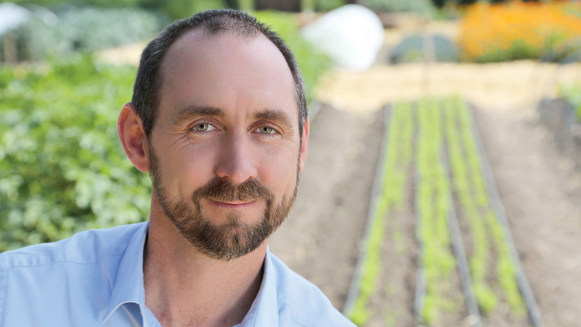 Tourism officials developing strategies to rise from the ashes: Travel ...