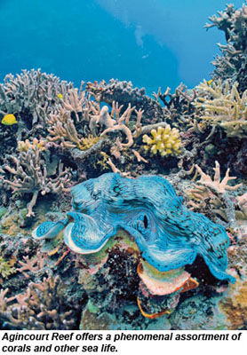 With Quicksilver, an in-depth Great Barrier Reef tour: Travel Weekly