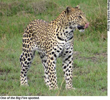 Spotting the Big Five, Ugly Five: Travel Weekly