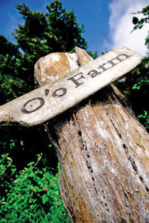 Cultivating tourism: Travel Weekly