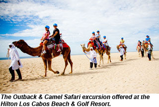 Los Cabos resort offers guests camel rides: Travel Weekly