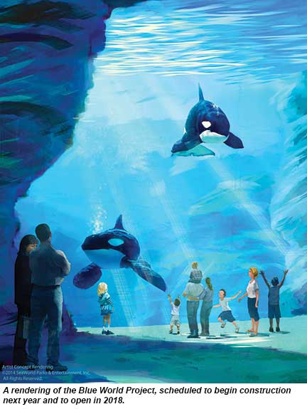 SeaWorld campaign designed to ease killer whale dispute: Travel Weekly