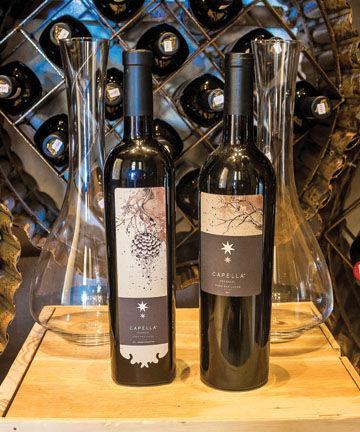 Insight: Mexico: Travel Weekly